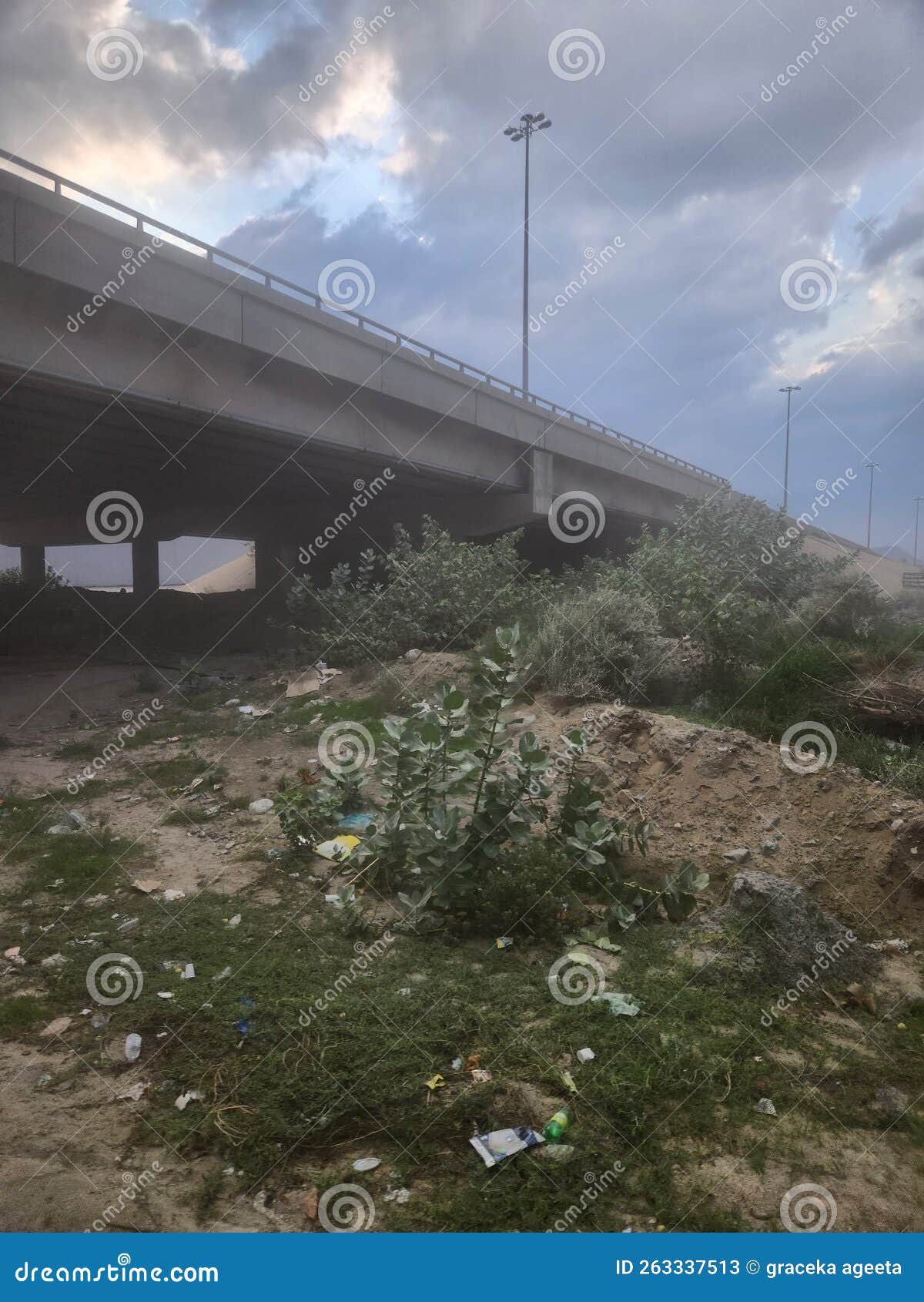 Tree, Bridge, Trash, Dirty, Stock Image - Image of bridge, dirty: 263337513