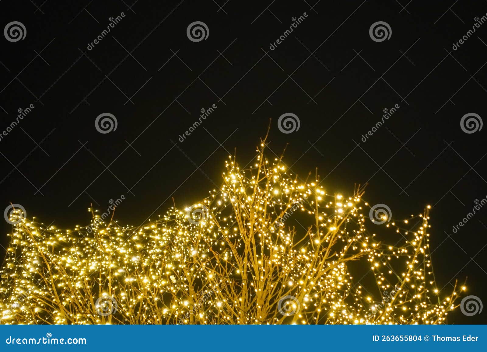 Tree with Bright Lights at a Christmas Market with Black Sky in the ...