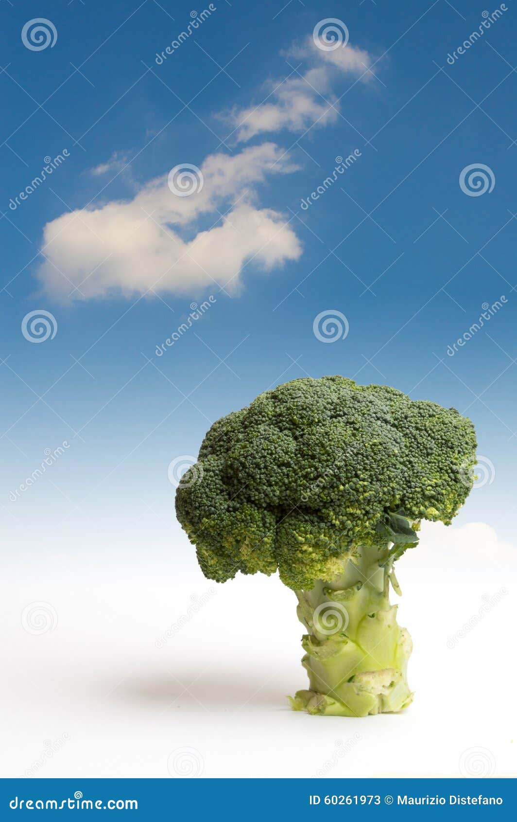 Tree of broccoli stock image. Image of farm, cooking - 60261973