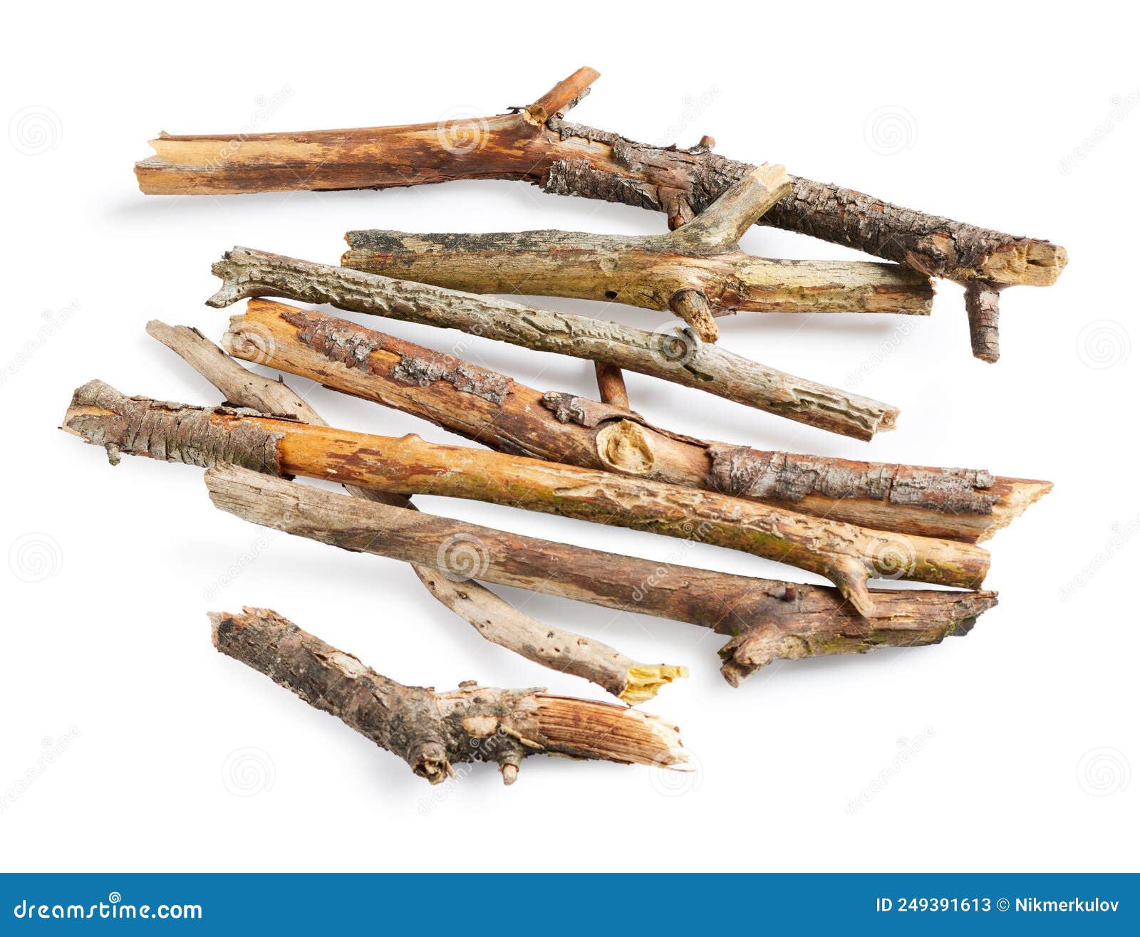 Tree Broken Sticks on White Stock Image - Image of park, nature: 249391613