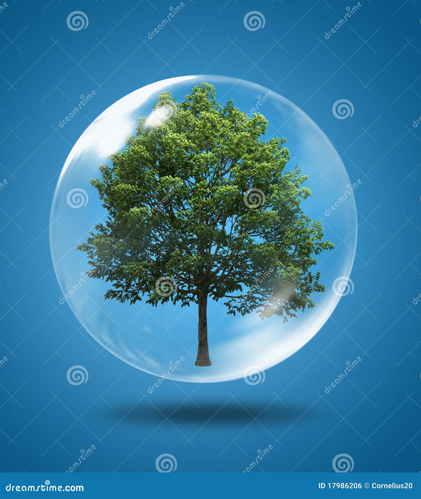 Tree in a bubble stock illustration. Illustration of concept - 17986206