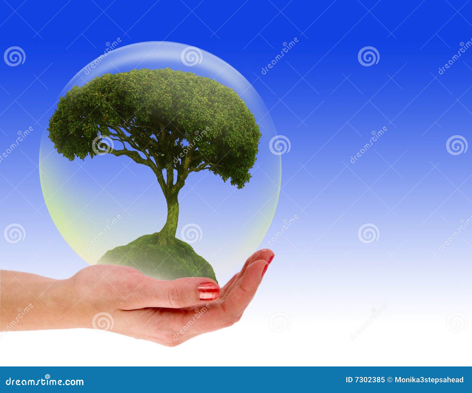 Bubble Inside A Tree