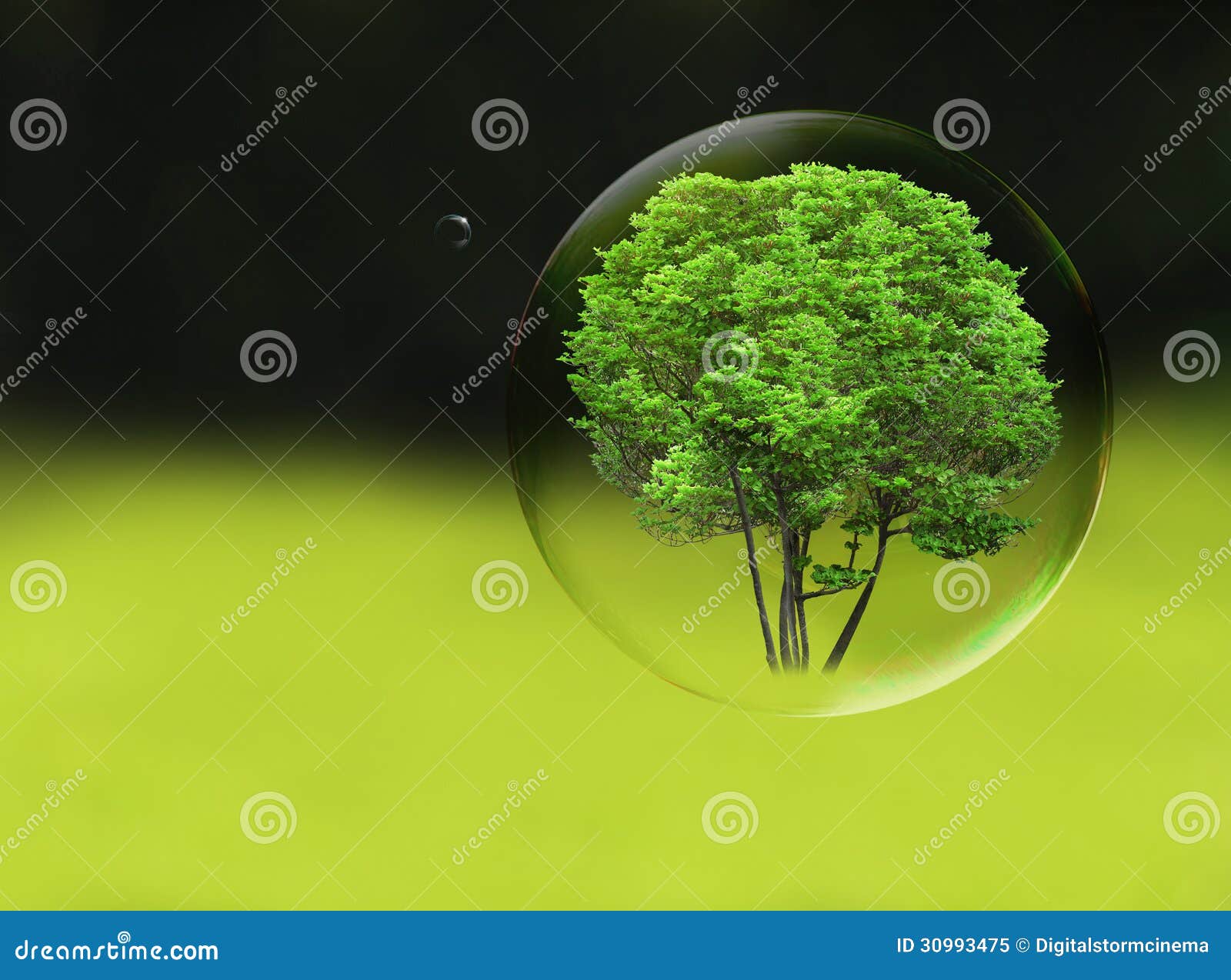 Tree in a bubble stock illustration. Illustration of natural - 30993475