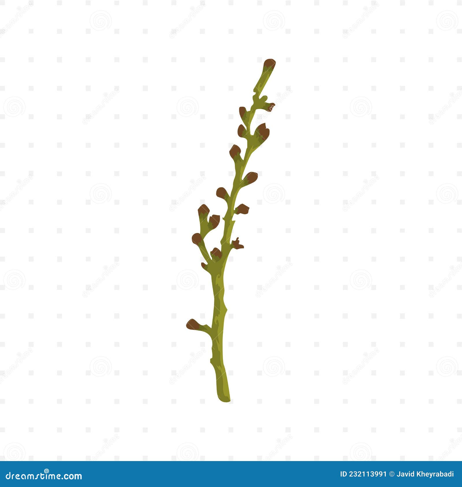 Tree Bud Branch Illustration on White Background Stock Vector ...
