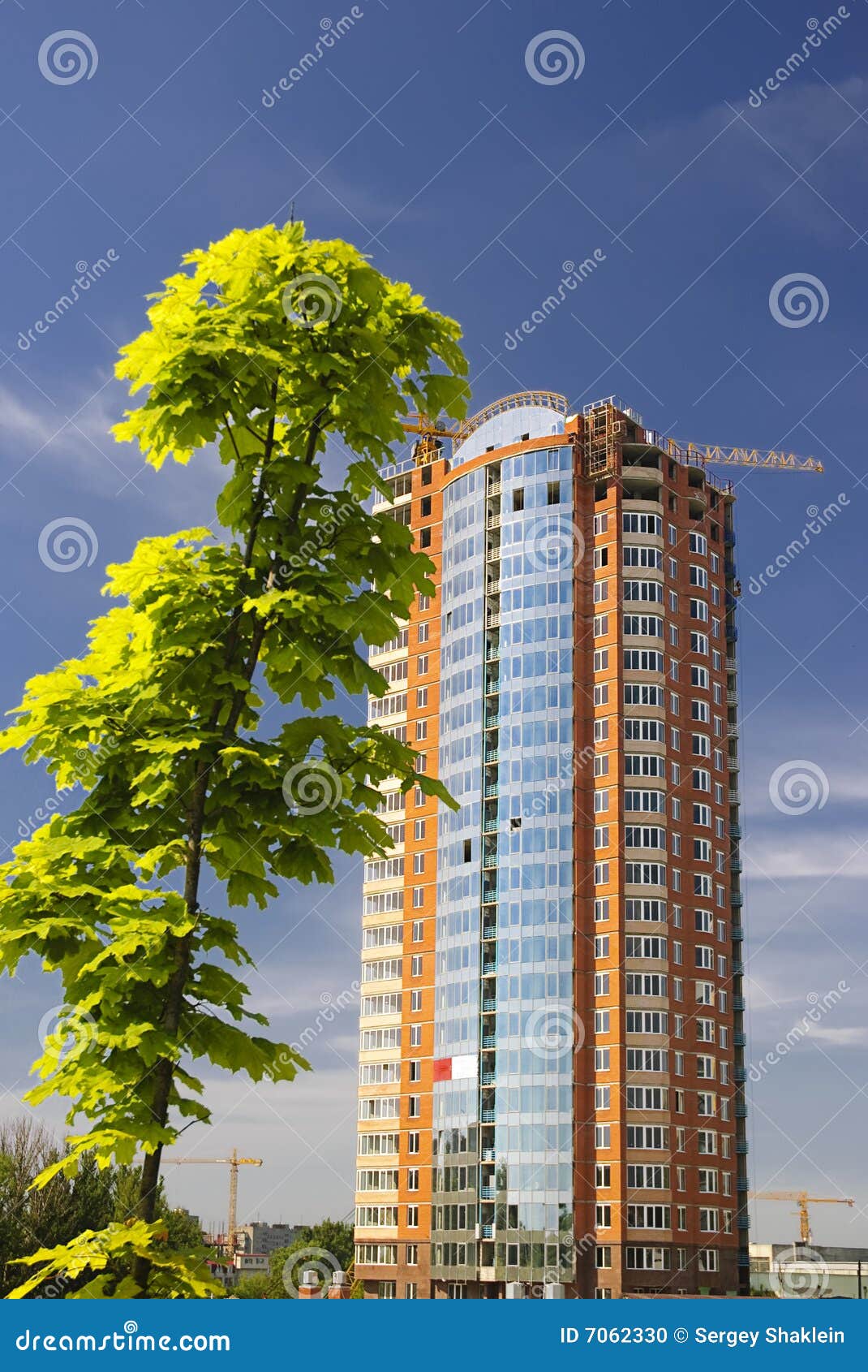 Tree and building stock photo. Image of beauty, concrete - 7062330