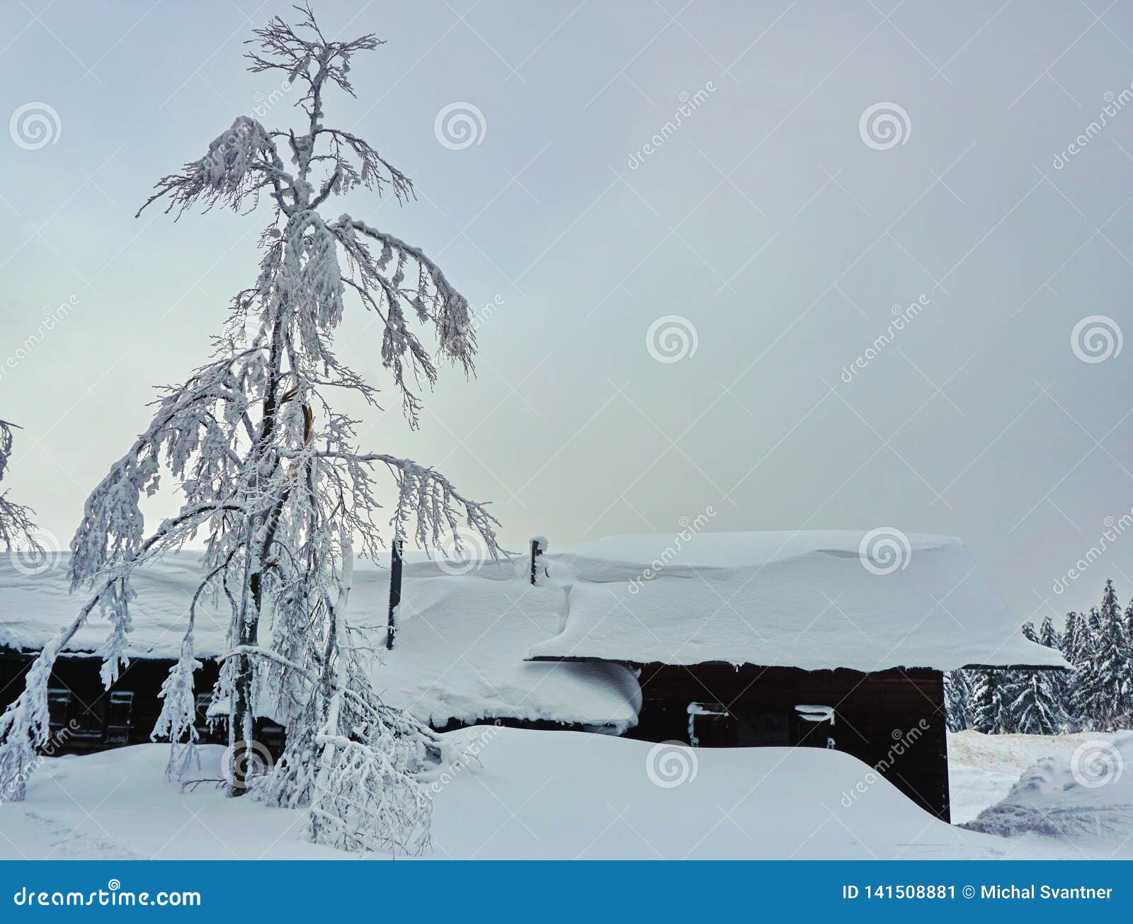 Tree and Building Covered by Thick Snow Cover Stock Image - Image of ...