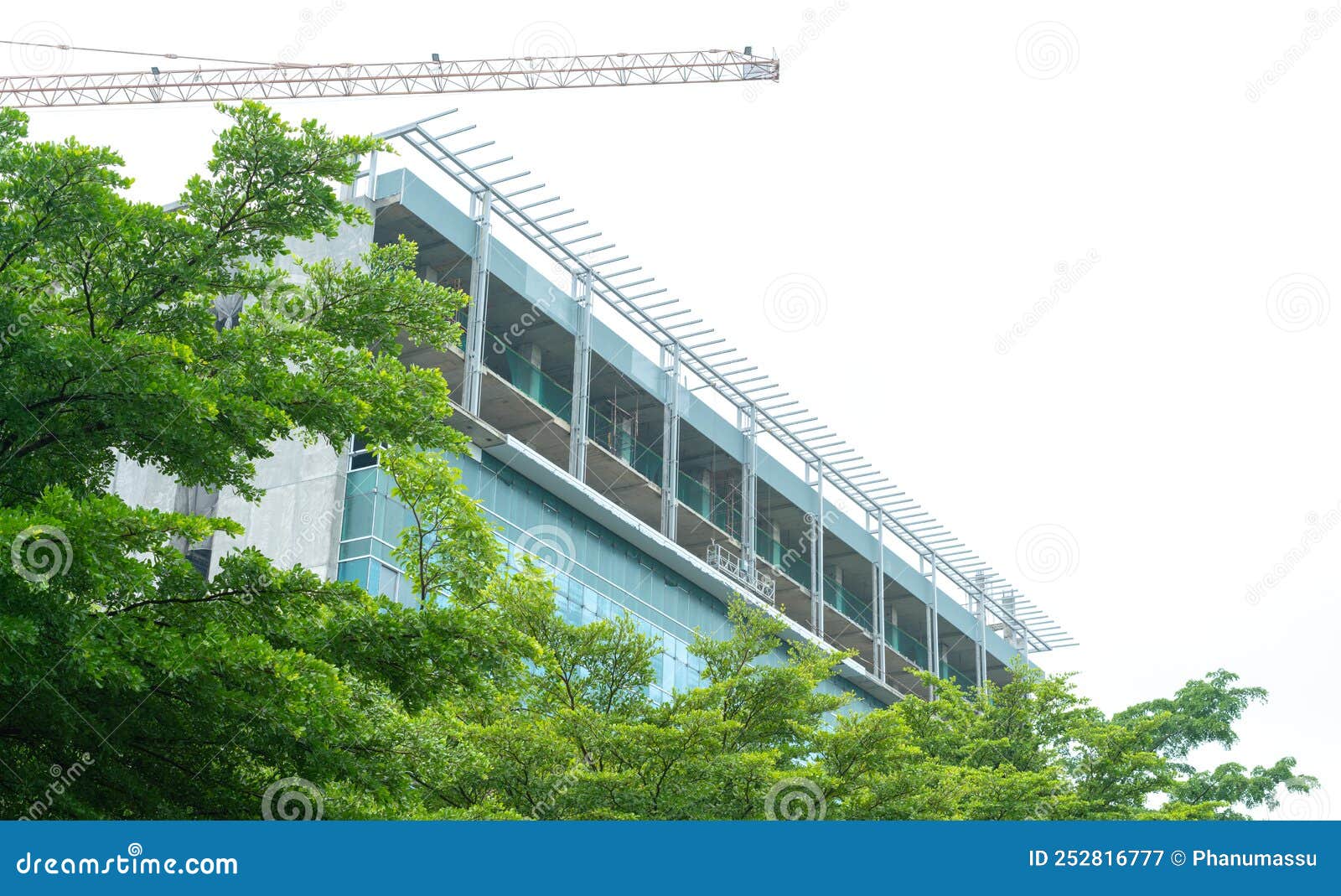Tree and Building Under Construction with Glass Wall Stock Image ...