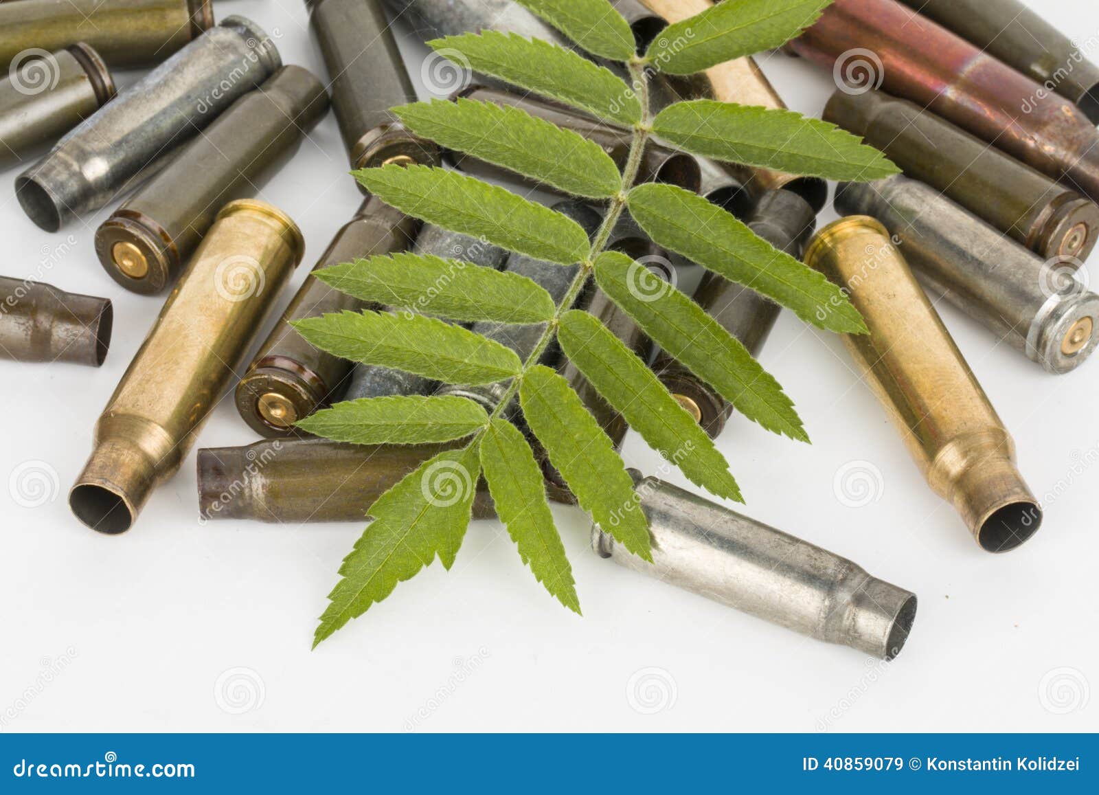 Tree and bullets. stock image. Image of bullet, tree - 40859079