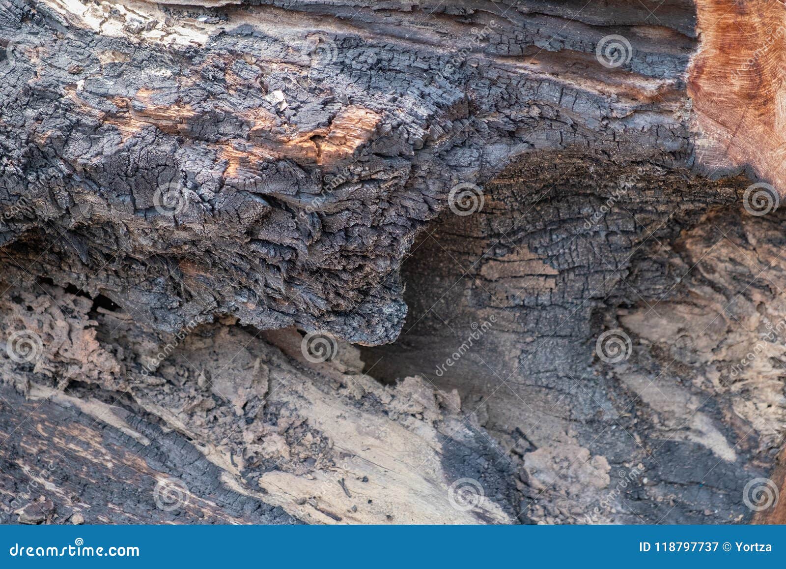 Tree burn textures stock image. Image of burnt, bark - 118797737