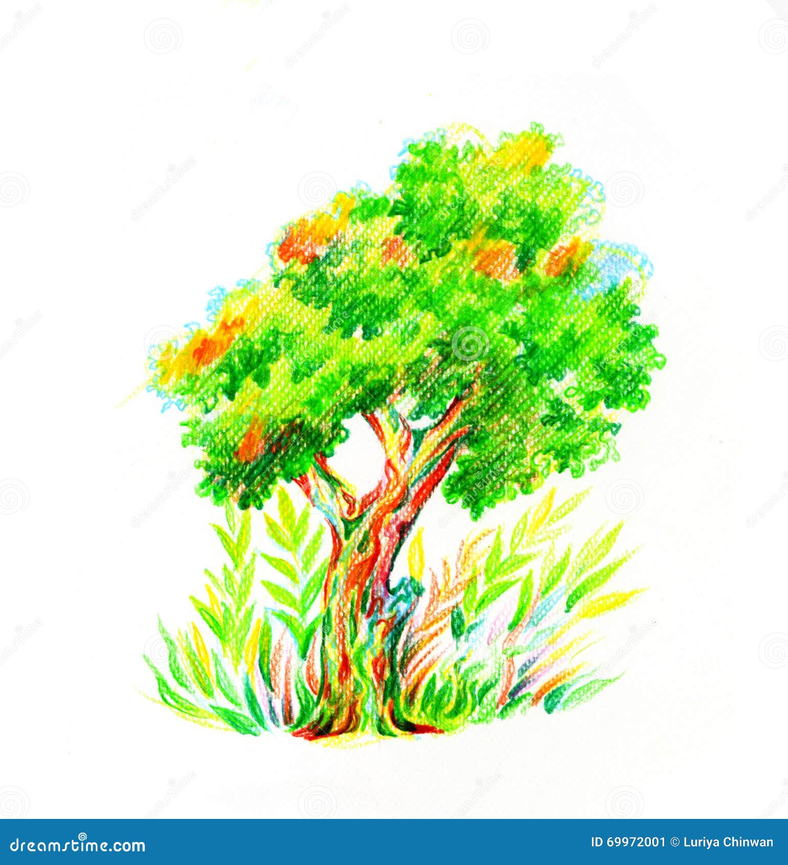 Tree with Bush Drawn by Color Pencils. Stock Illustration ...
