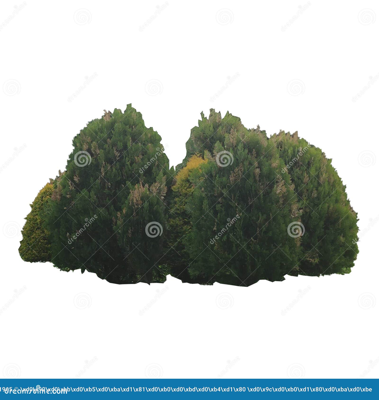 Tree Bushes Isolated on White Background. Concept for Advertising ...