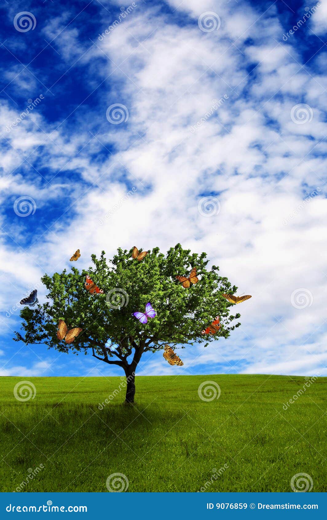 Tree with butterflies stock image. Image of conceptual - 9076859