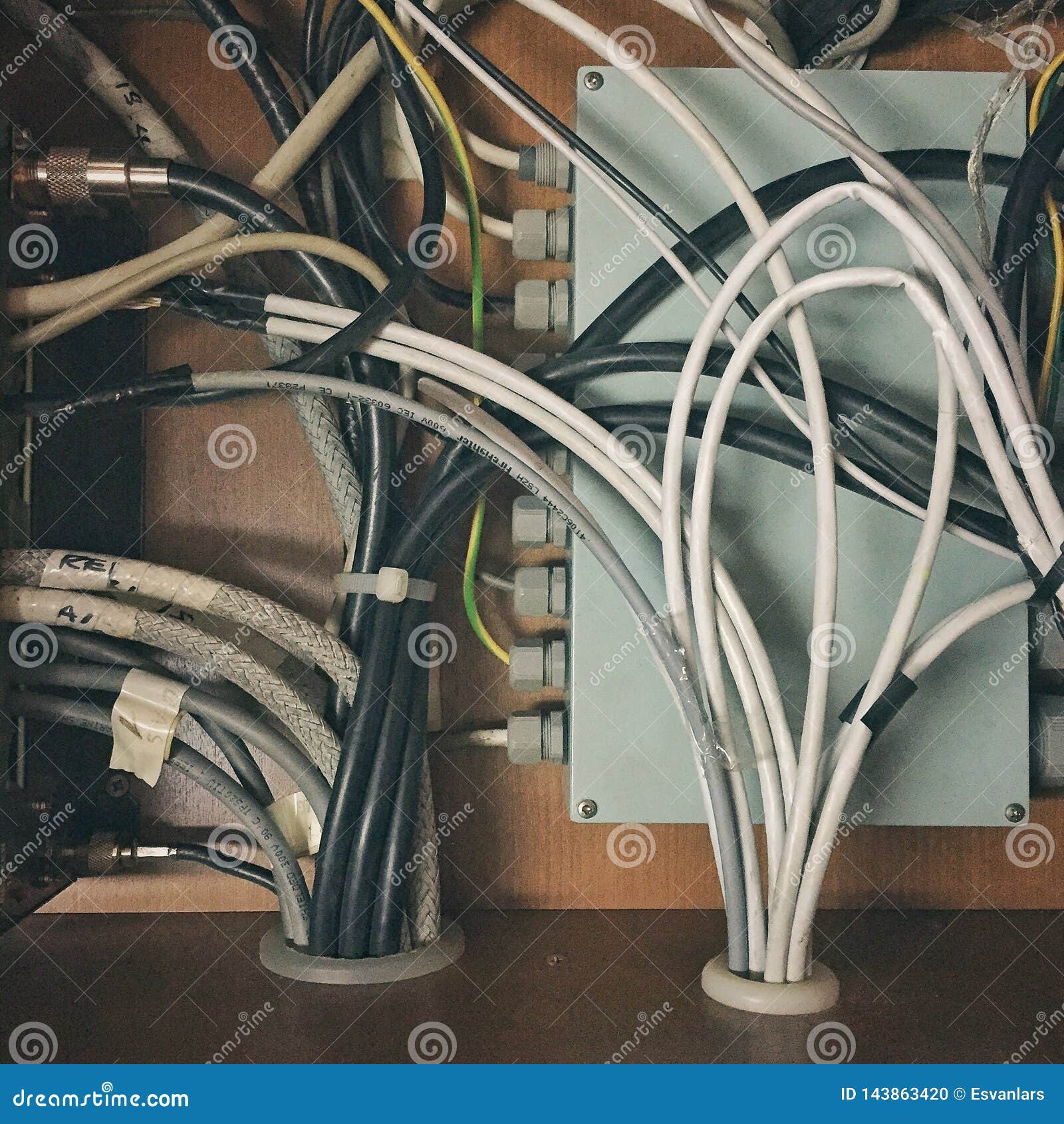 Tree from Cables stock photo. Image of cables, tree - 143863420