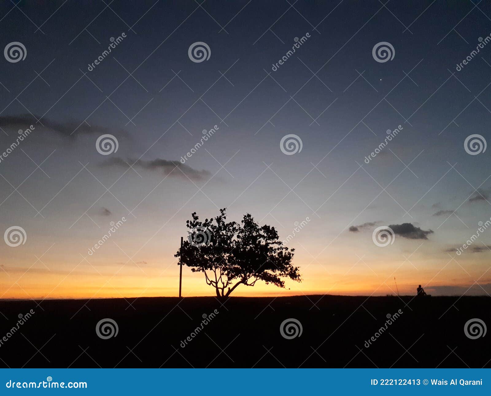 Tree Calm Orange stock image. Image of cloud, sunset - 222122413