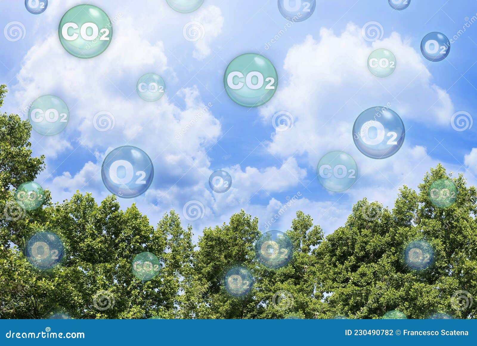 Tree Canopy Against a Sky Background with Oxygen O2 and Carbon Dioxide ...