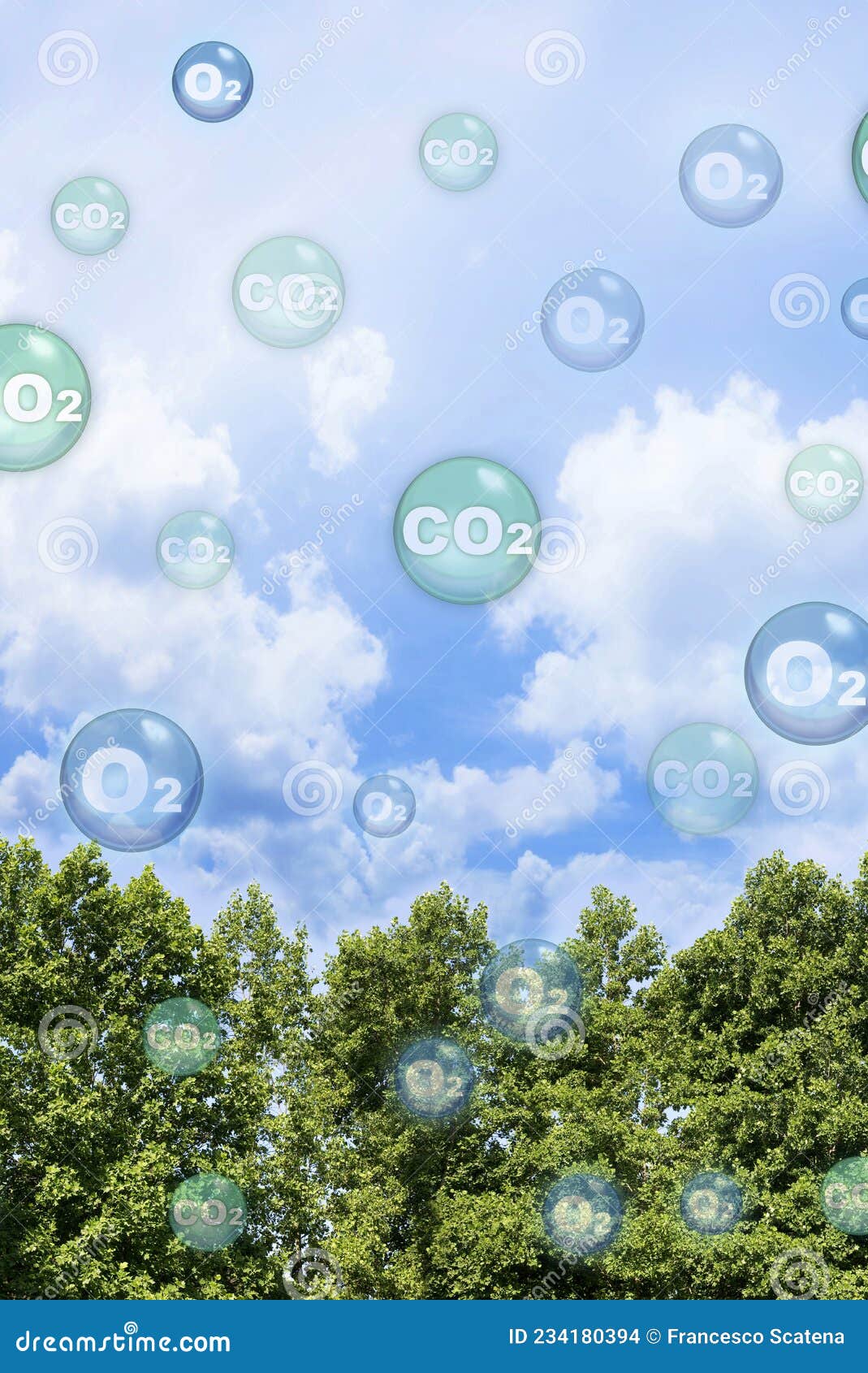 Tree Canopy Against a Sky Background with Oxygen O2 and Carbon Dioxide ...