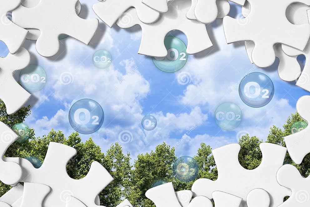 Tree Canopy Against a Sky Background with Oxygen O2 and Carbon Dioxide ...