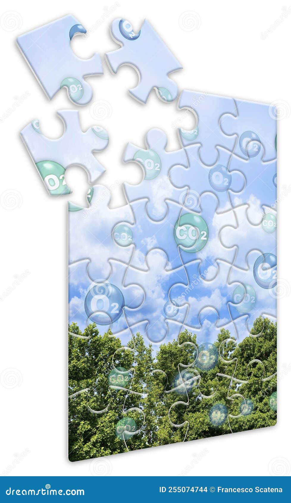 Tree Canopy Against a Sky Background with Oxygen O2 and Carbon Dioxide ...