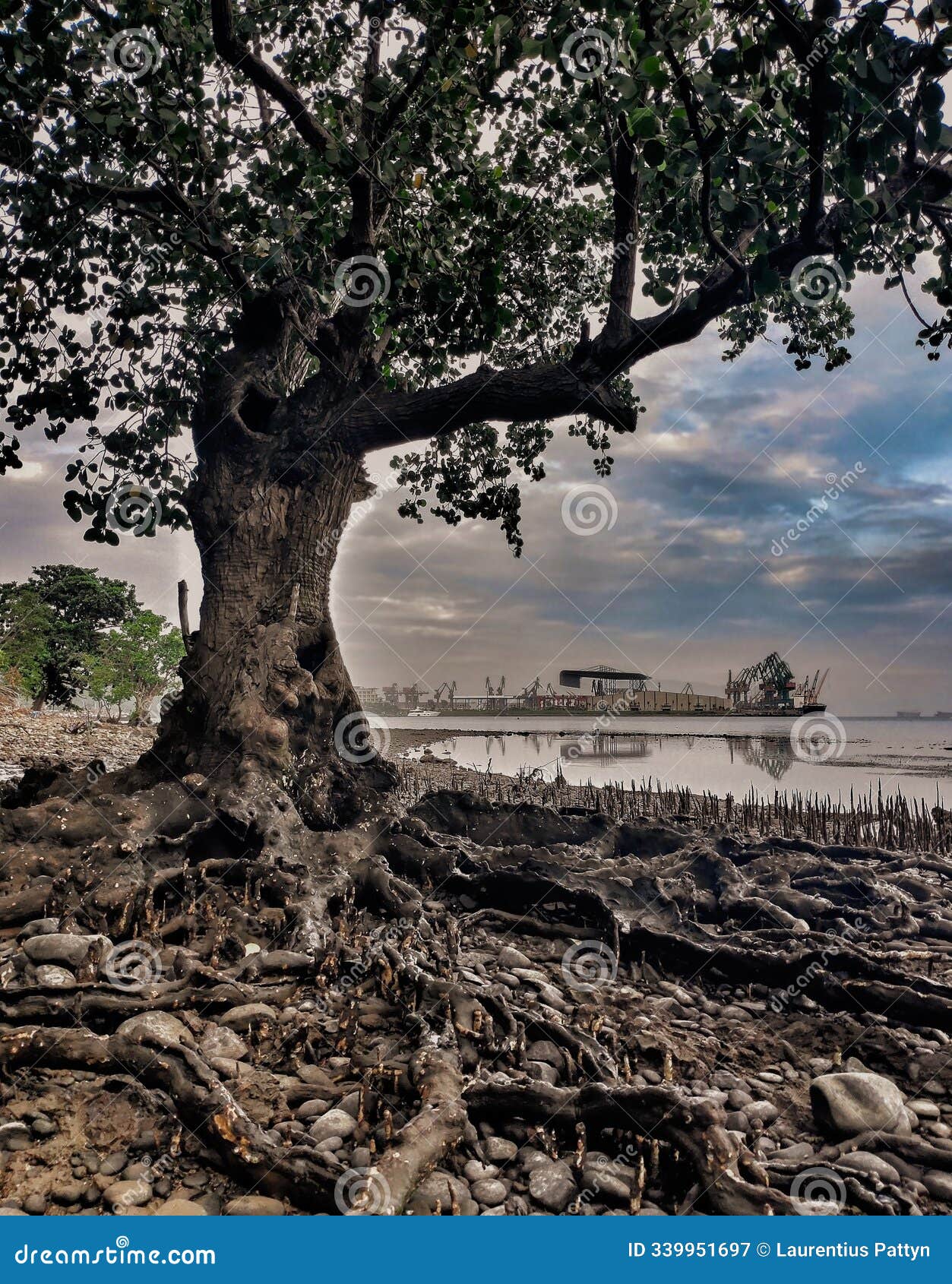 A Dramatic Scene Of A Beach House Overwhelmed By Storm Surge During A ...