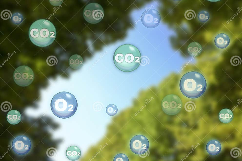 Tree Canopy with Oxygen O2 and Carbon Dioxide CO2 Molecules Stock Image ...