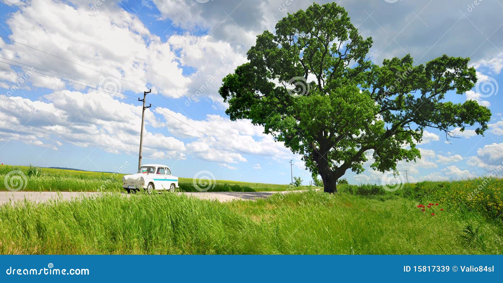 Tree and car stock image. Image of spring, flora, postcard - 15817339