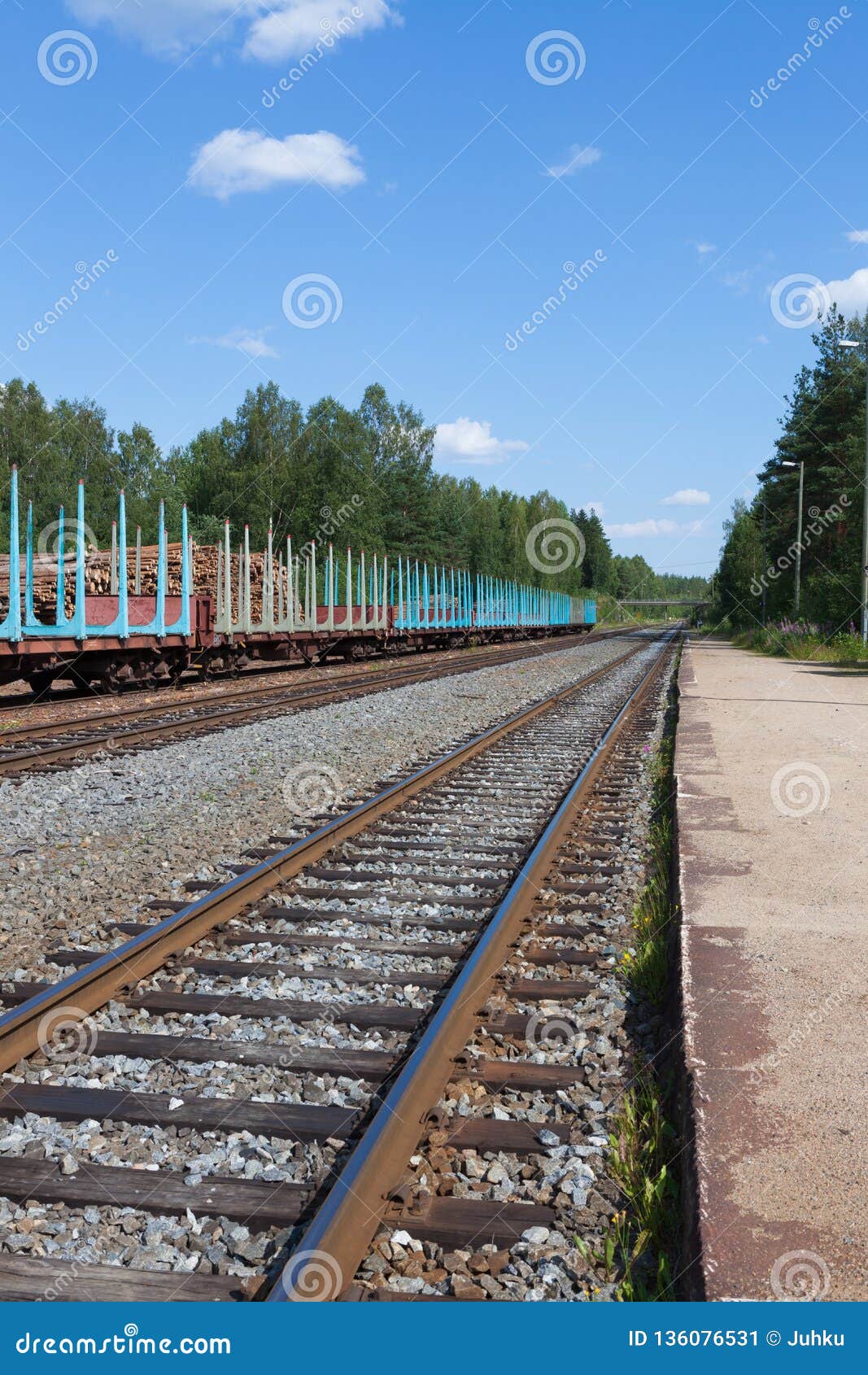 Tree cargo in train stock image. Image of transportation - 136076531