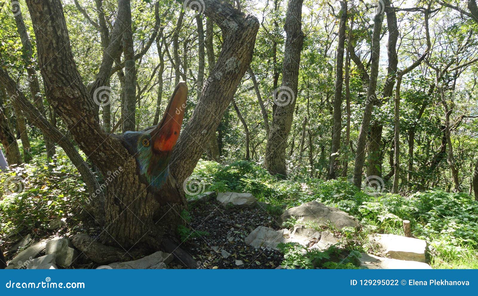 Tree with carved long nose stock photo. Image of carved - 129295022