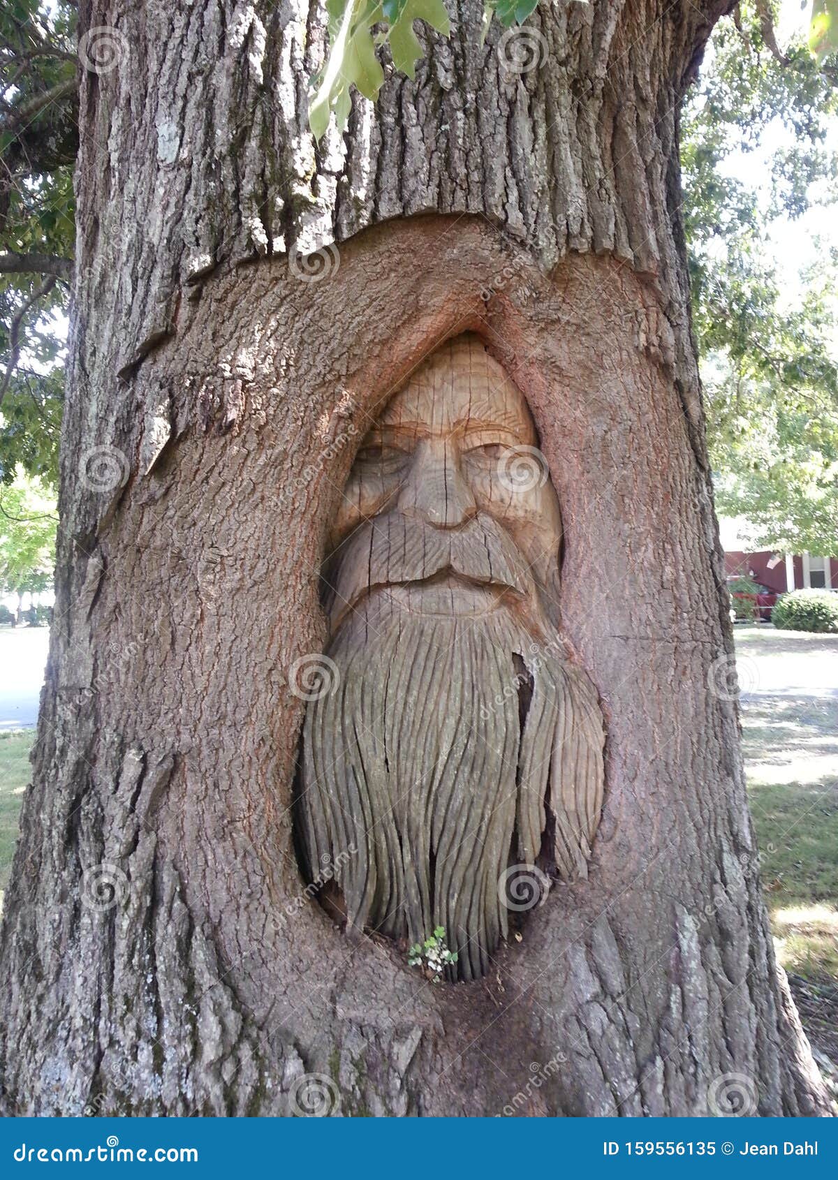 Tree Carving of man editorial image. Image of wood, carving - 159556135