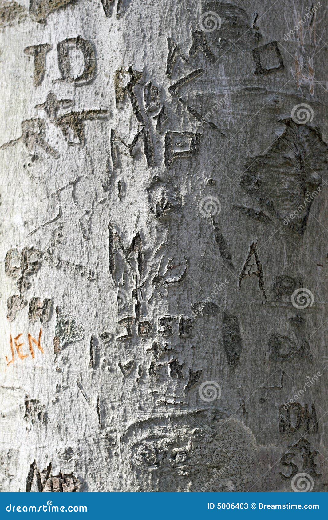 Tree carvings stock image. Image of environment, rough - 5006403