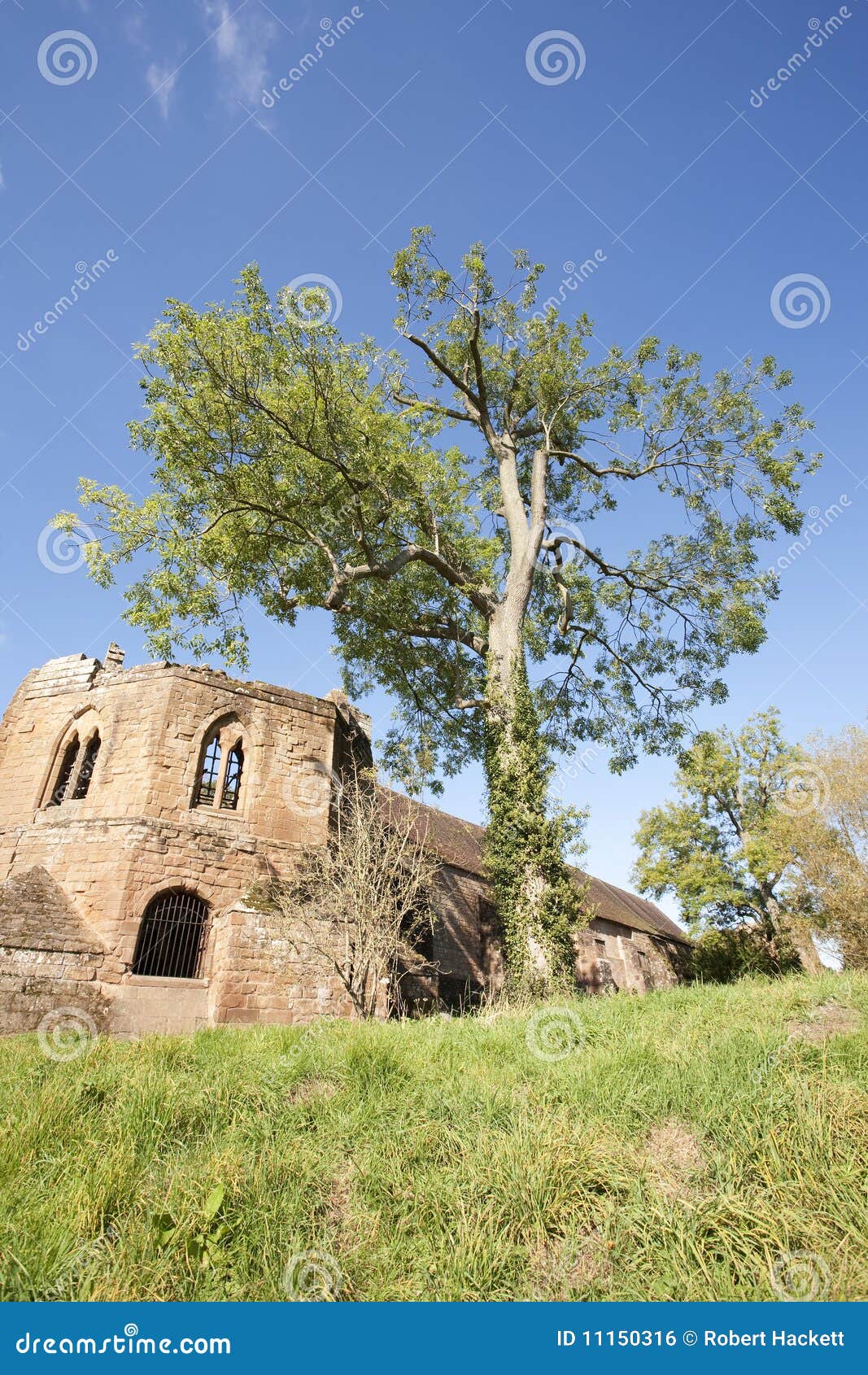 Tree and castle stock photo. Image of blue, medieval - 11150316