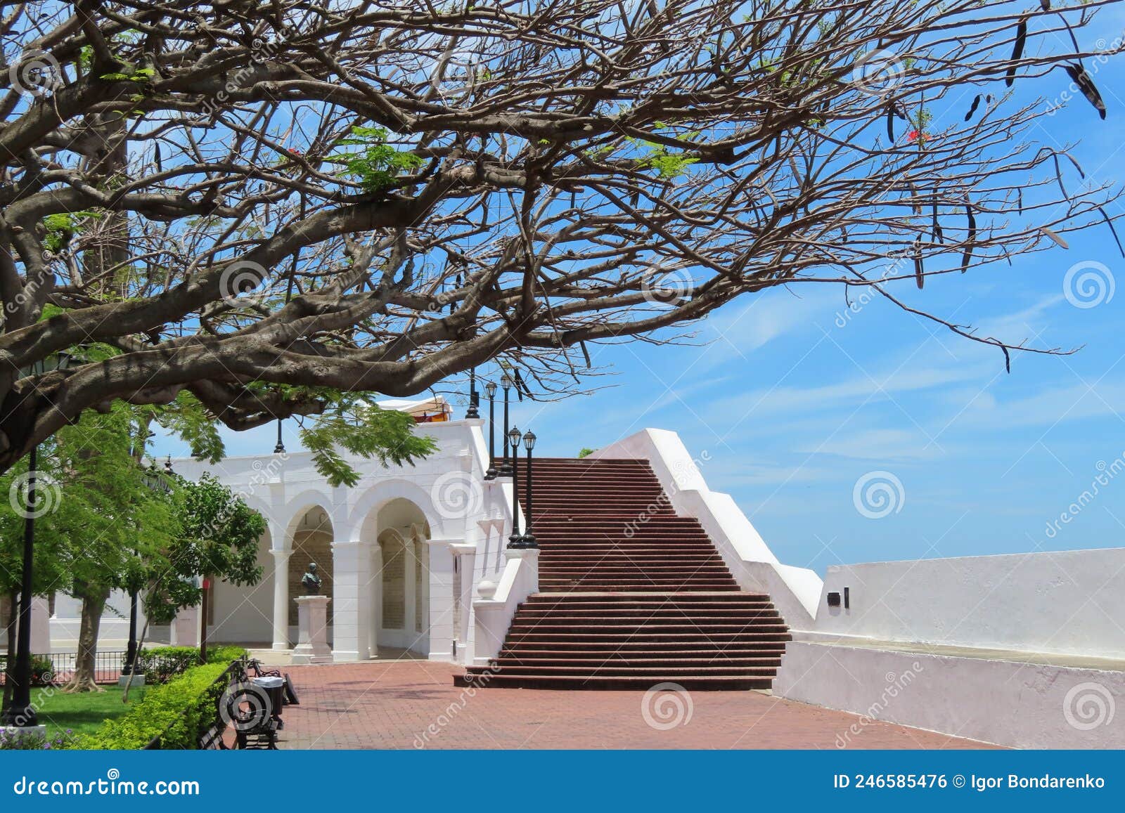Tree, Castle, Architecture, Garden, Building, Stairs, Stock Photo ...