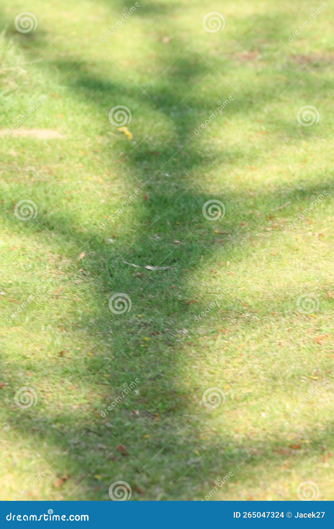 The Tree Casts a Shadow on the Grass Stock Photo - Image of grassland ...