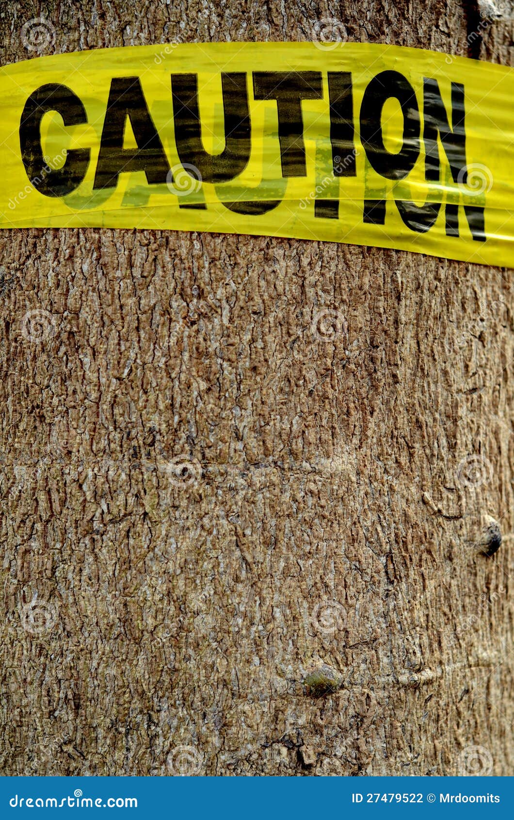 Tree Caution Sign stock photo. Image of environment, halt - 27479522