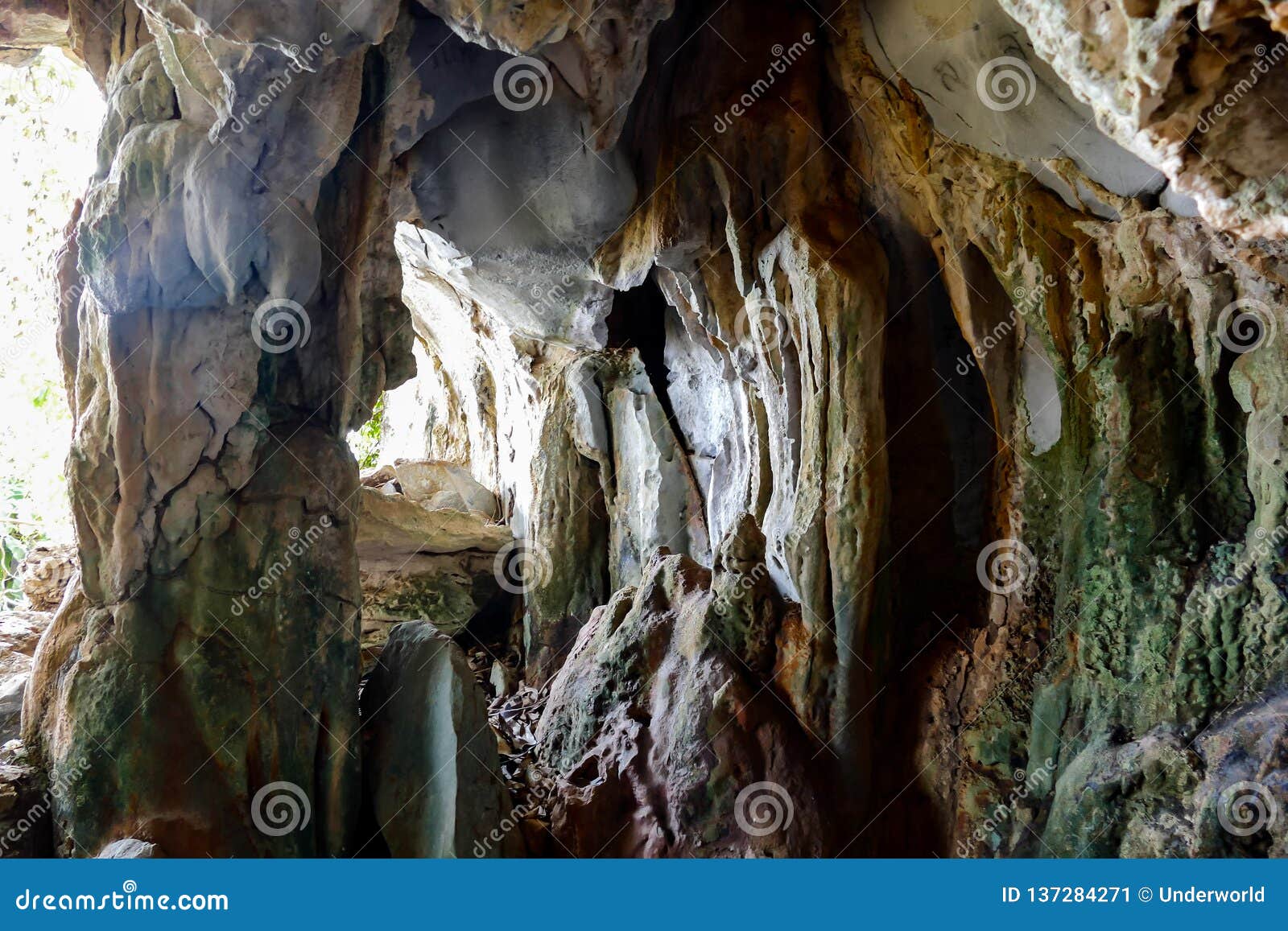 Tree in Cave, Digital Photo Picture As a Background Stock Illustration ...