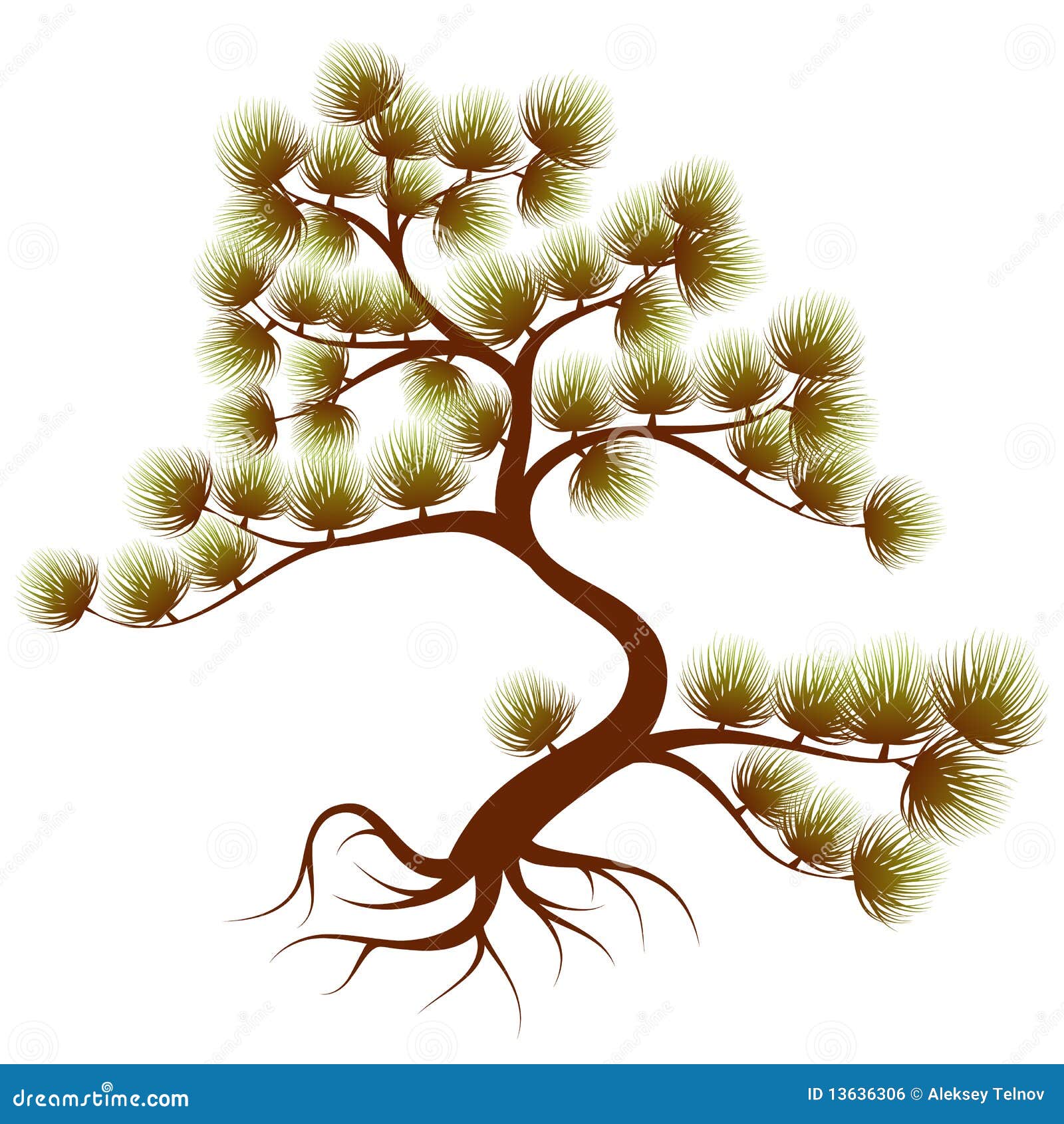 Tree Cedar Vector Illustration | CartoonDealer.com #13636306