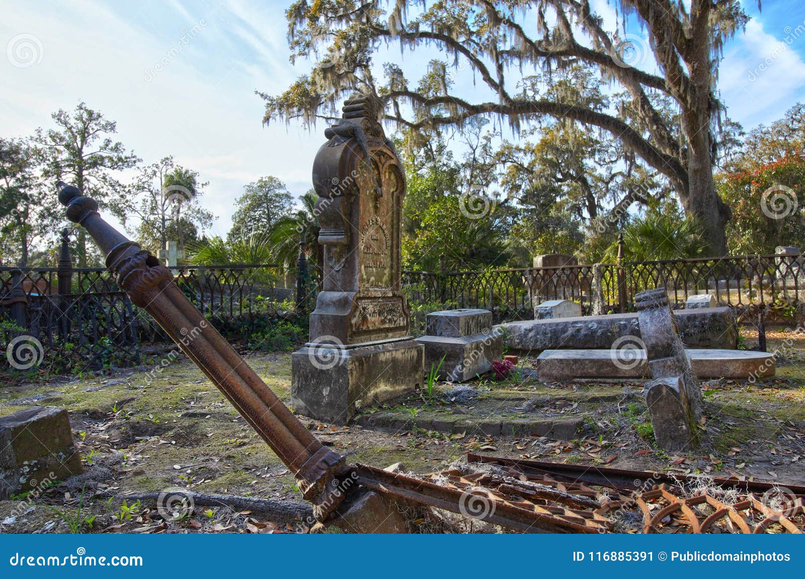Tree, Cemetery, Monument, Statue Picture. Image: 116885391