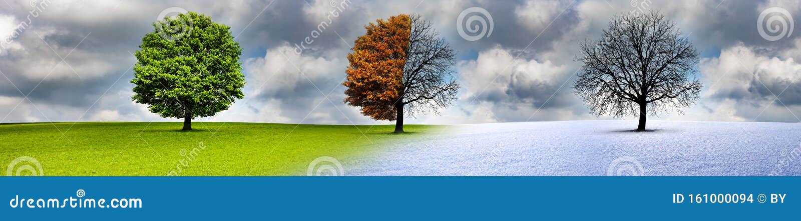 Tree in the Change of the Seasons Stock Photo - Image of people, summer ...