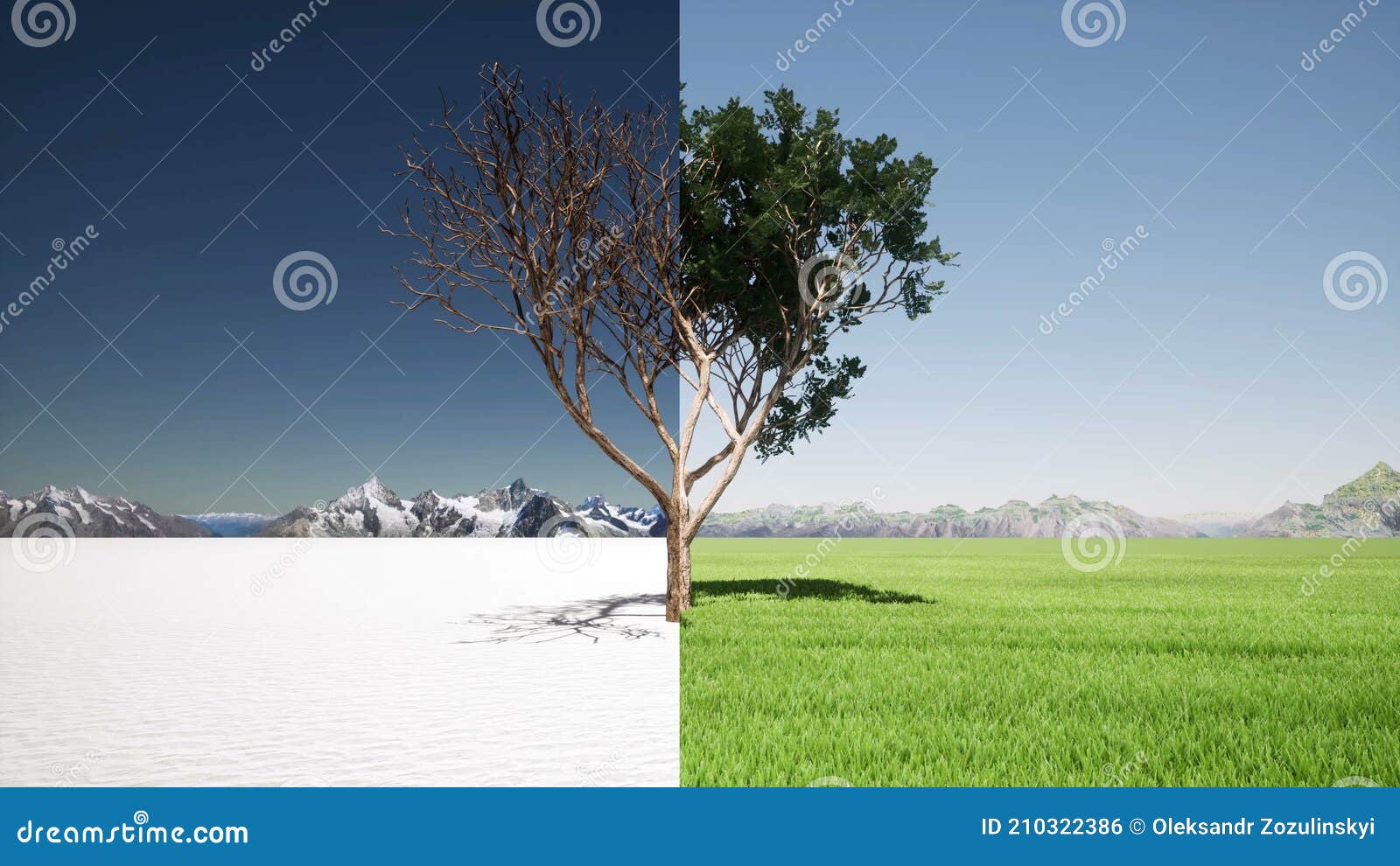 Tree in Changing Seasons Winter Spring Climate Change Comparison Stock ...