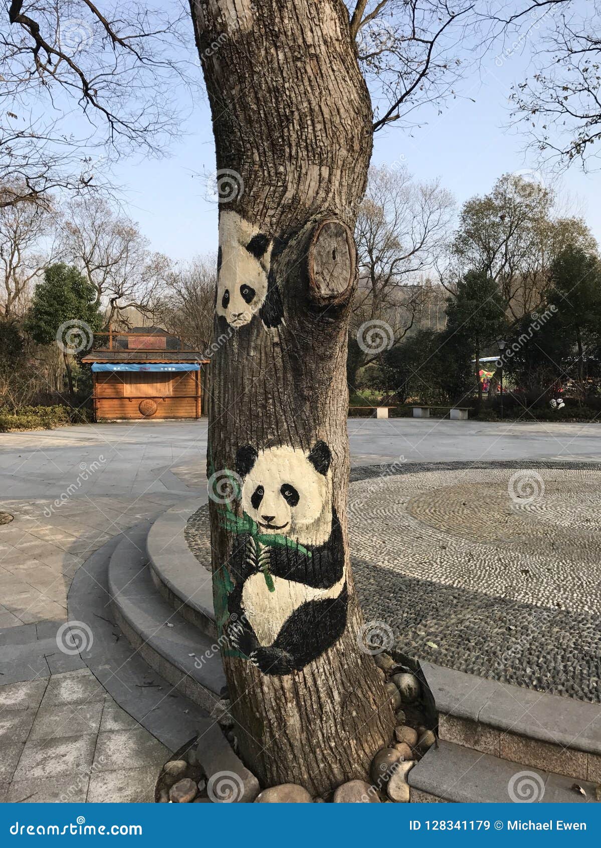 Panda Tree editorial stock image. Image of tree, autumn - 128341179