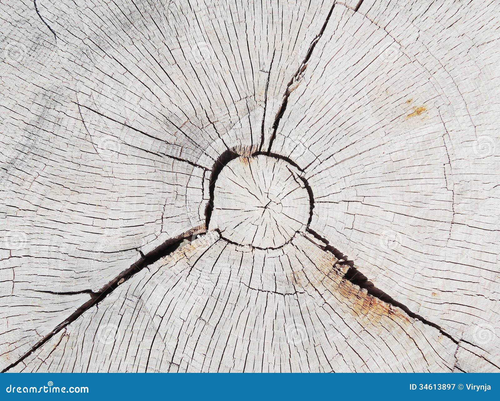 Tree circle texture stock image. Image of detailed, board - 34613897