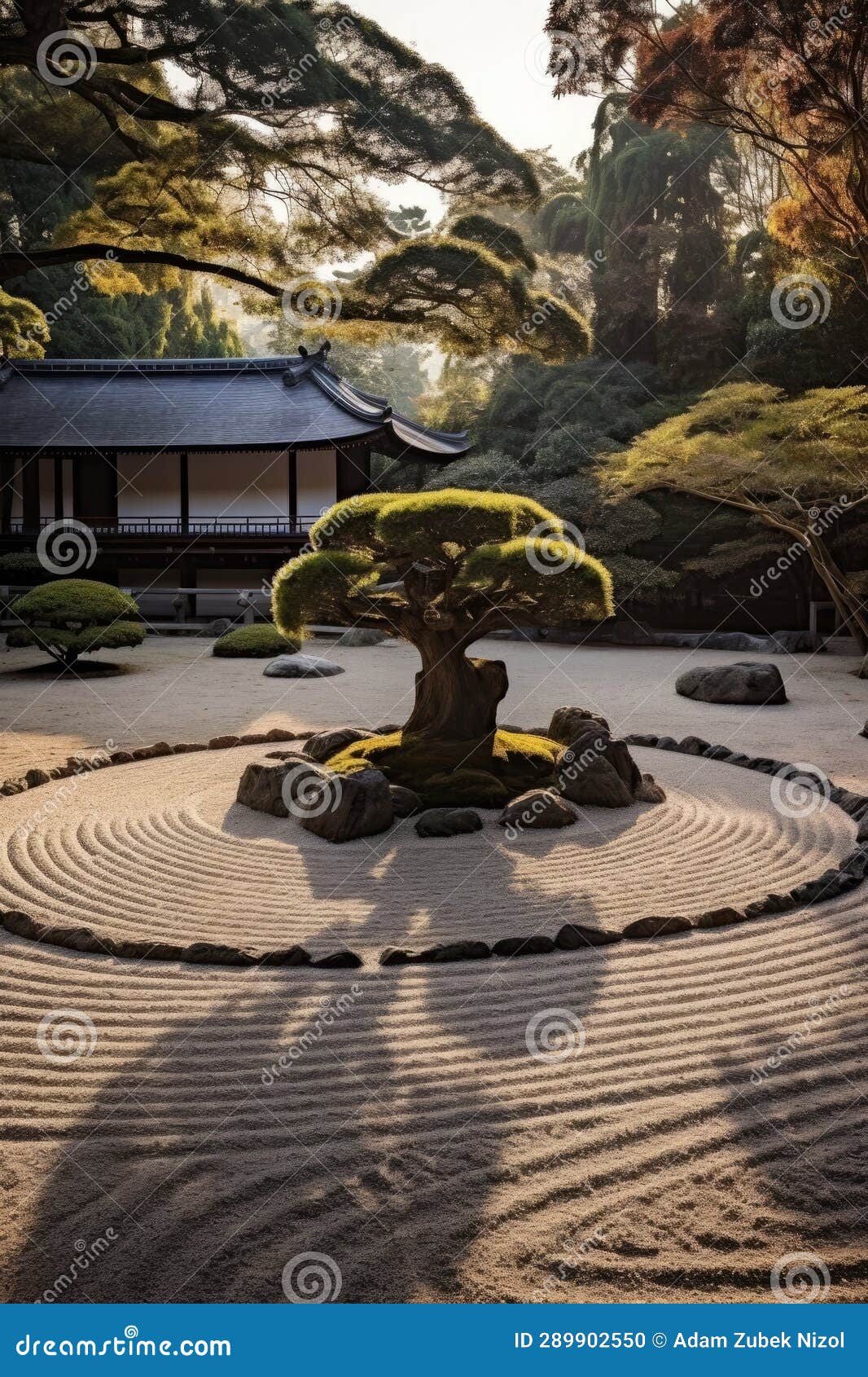 Circular Zen Rock Garden Design On White Sand From Top View For Serene ...