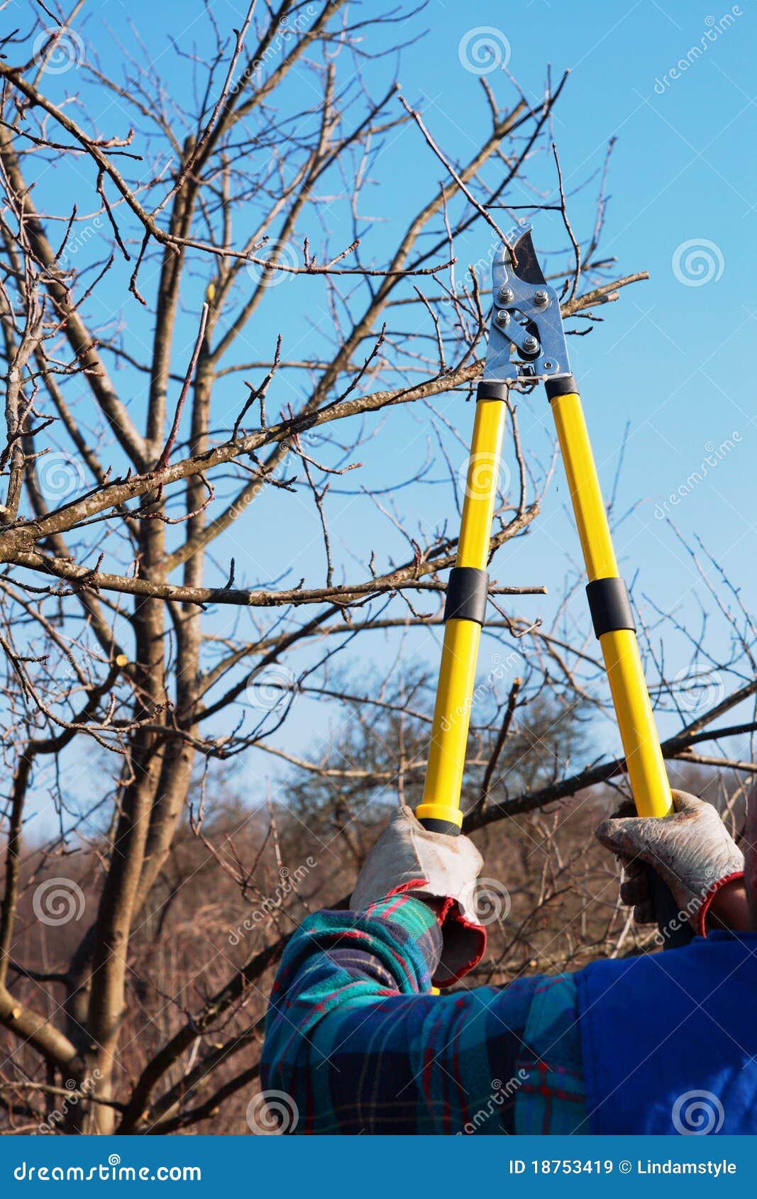 Care taking tree stock image. Image of hands, tree, blue - 18753419