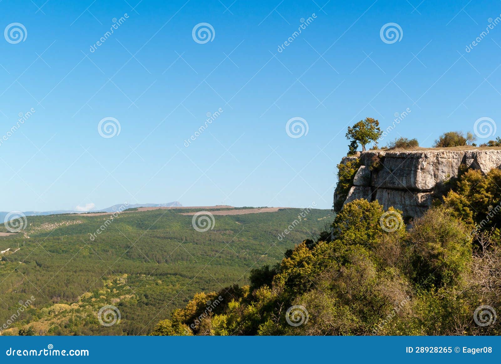 Tree on the cliff stock image. Image of moving, conservation - 28928265