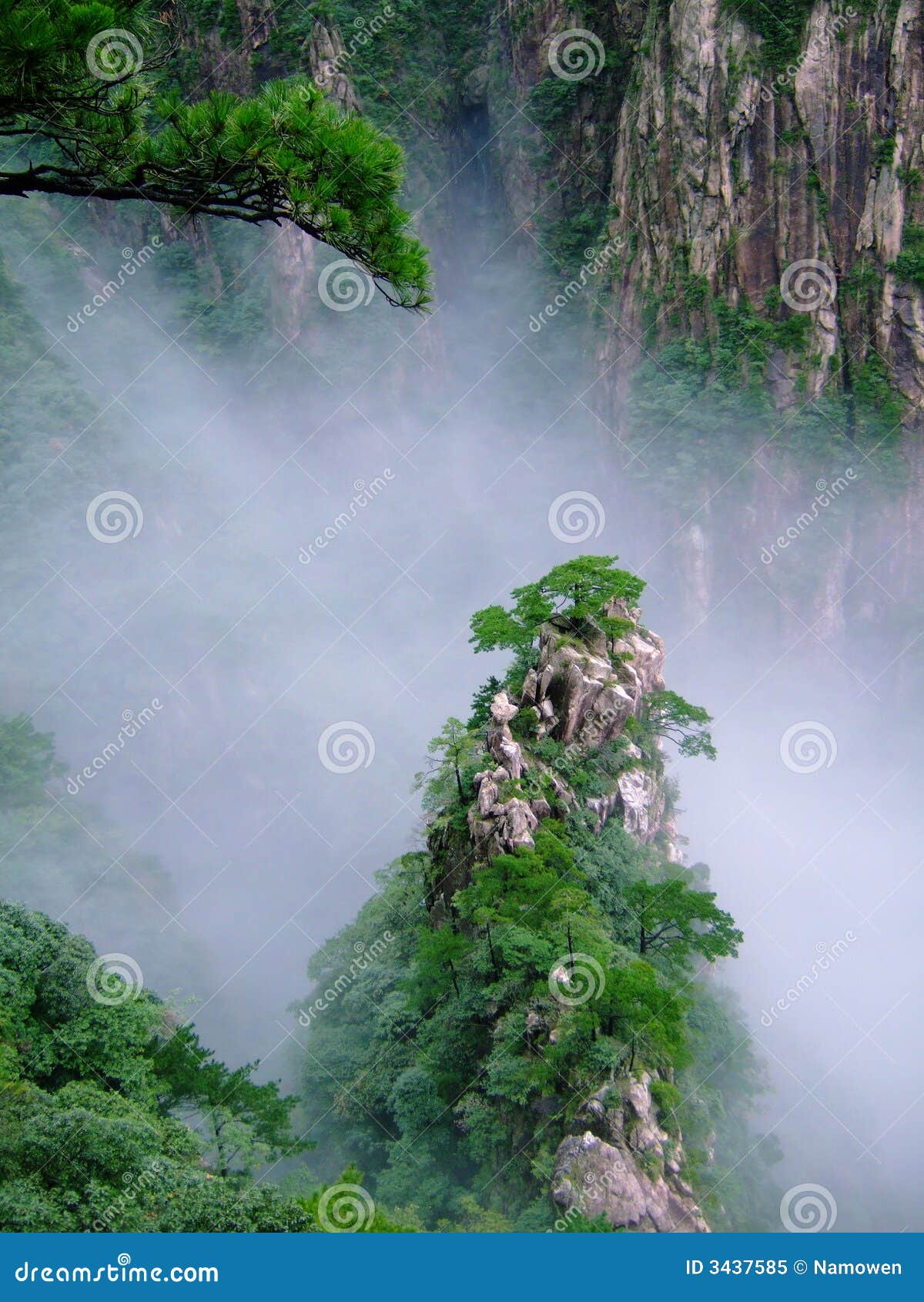 Tree on Cliff stock image. Image of mountain, anhui, cliff - 3437585