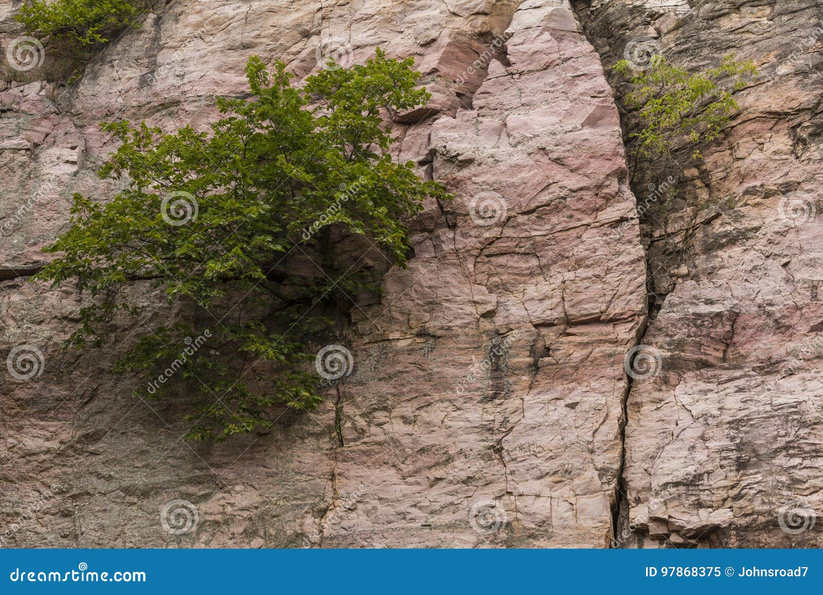 Tree in Cliff stock image. Image of mounds, blue, tourism - 97868375