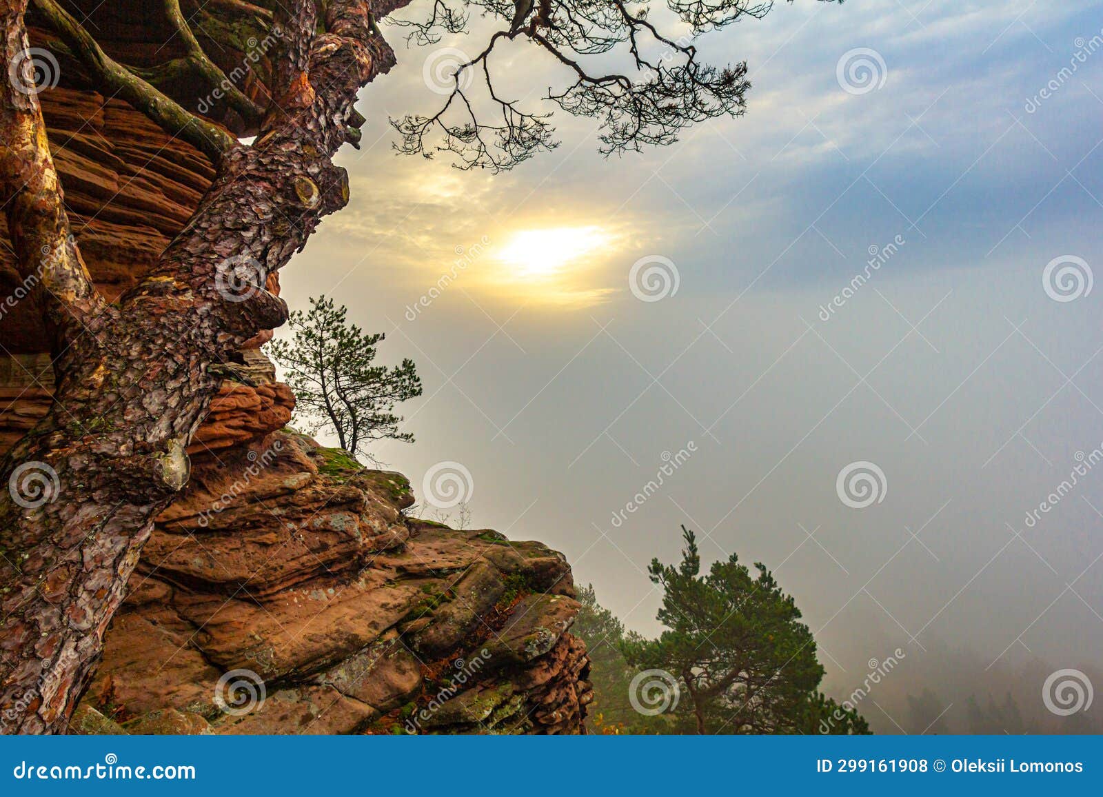 A Tree on a Cliff with a Sky Background and a Sun Peeking through the ...