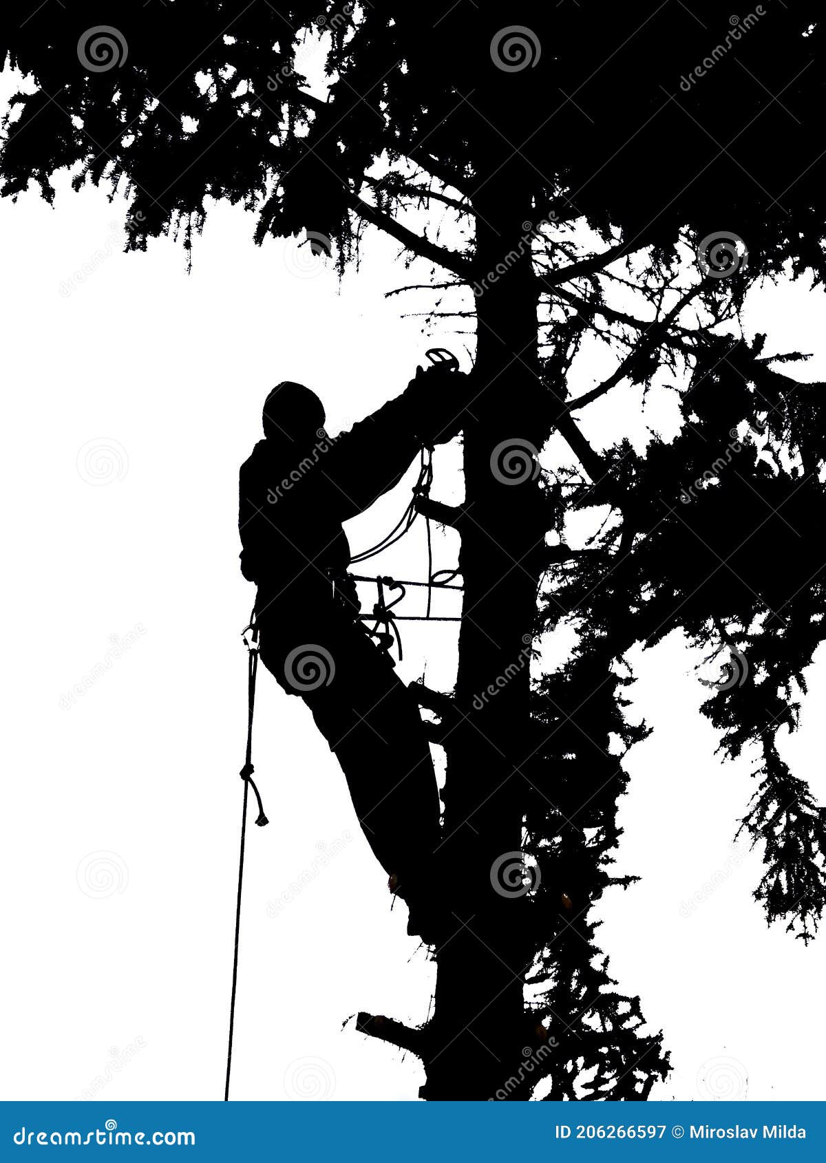 Tree Climber Silhouette