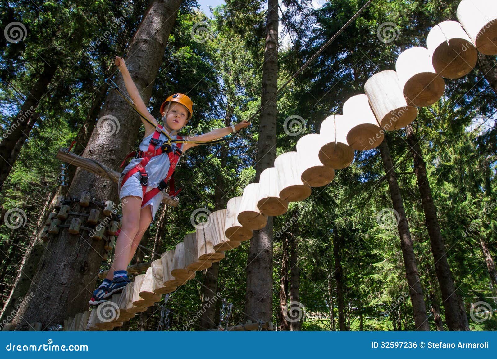 Tree climbing stock photo. Image of green, security, adventure - 32597236