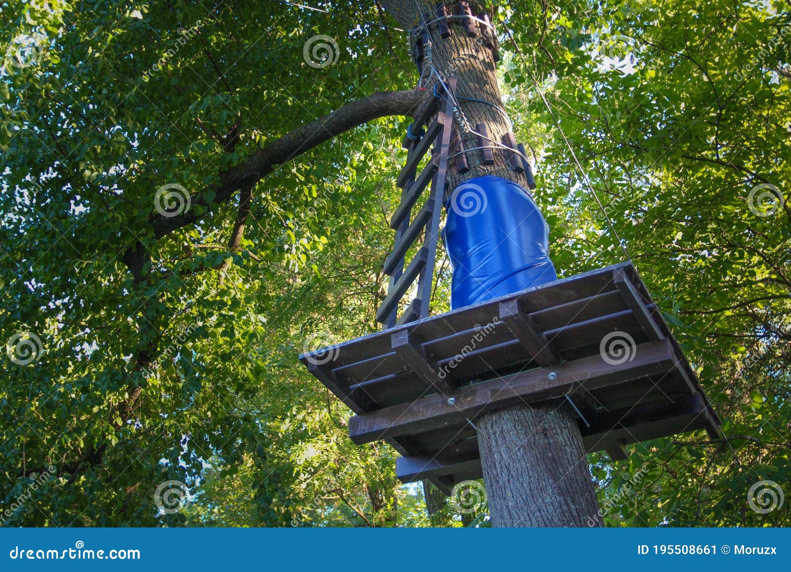 Tree Climbing Platform in Comana Adventure Park, Romania. Stock Image ...