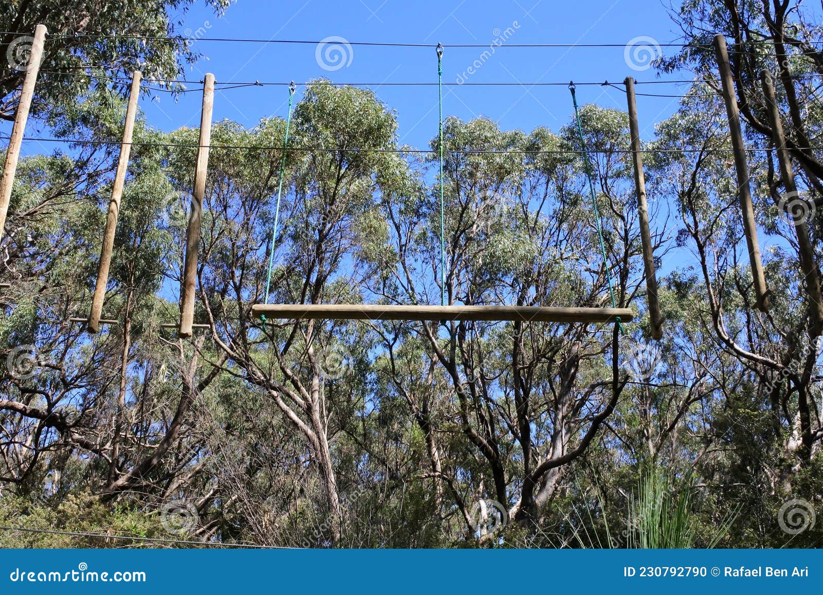 Tree Climbing Ropes Course Obstacles Stock Photo - Image of climb ...